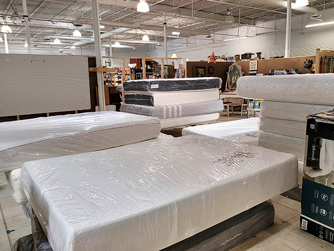 The mattress section: where dreams come at discount prices and you can finally replace that lumpy college futon without emptying your wallet.