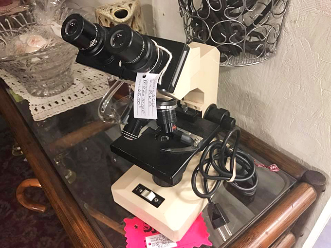 Science class flashbacks, anyone? This vintage microscope probably revealed the mysteries of pond water to wide-eyed students decades ago.