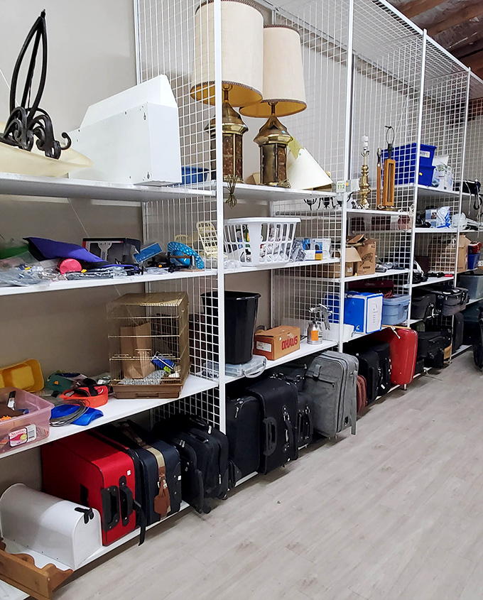 The miscellaneous section: where vintage lamps, luggage, and household items create a three-dimensional I Spy game for patient treasure hunters with vision.