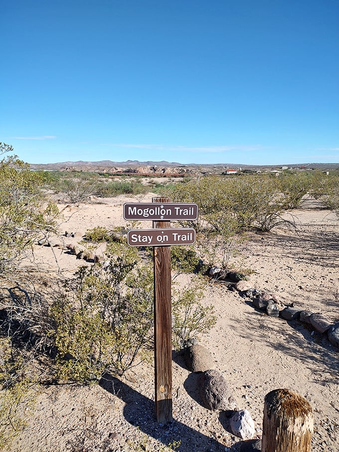 The Mogollon Trail sign stands like a desert sentinel, offering both direction and a gentle reminder to stay where you belong.