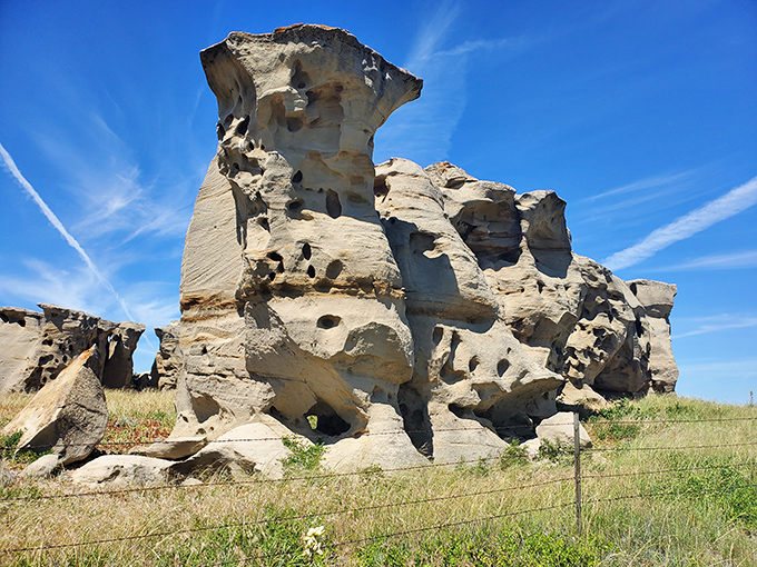 These formations don't just weather time&mdash;they wear it proudly, each hole and curve telling stories older than human memory.