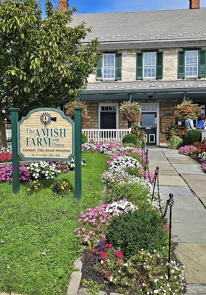 The Amish Farm and House offers a perfect companion visit. Cultural immersion comes with a side of spectacular gardens.
