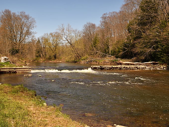 Neshannock Creek flows like nature's soundtrack to your food adventure. After sampling local treats, this is where you contemplate a second lunch.