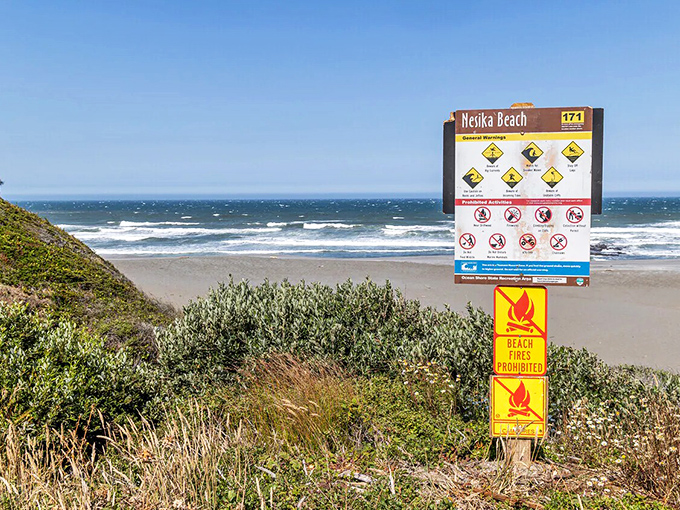 Nature's warning system: This sign reminds visitors that Mother Ocean demands respect&mdash;her beauty comes with fine print worth reading.