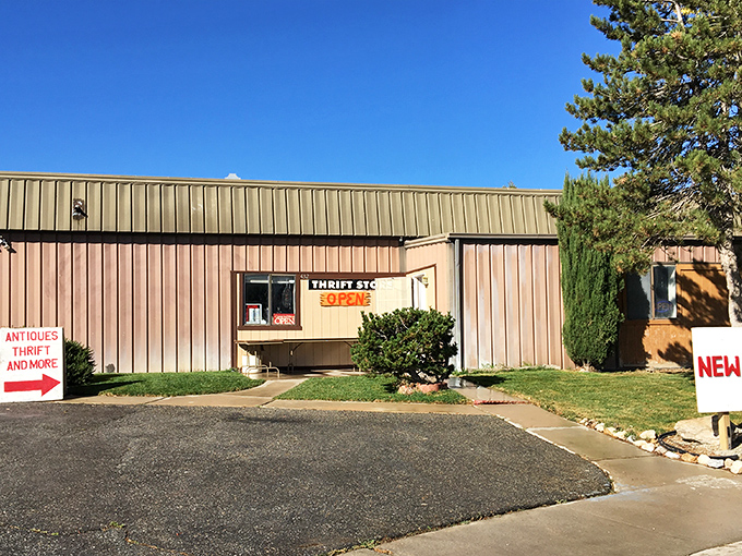 Treasure hunters rejoice at Tehachapi's thrift stores, where one person's castoffs become another's conversation pieces.