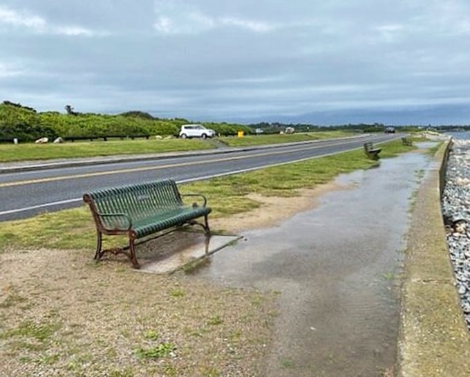 The best seat in Rhode Island. This solitary bench offers front-row tickets to nature's greatest show&mdash;crashing waves and endless horizons.