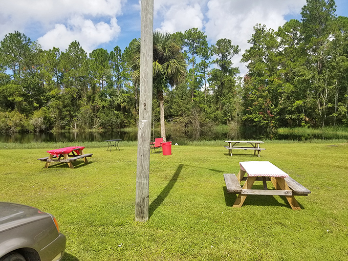 Picnic tables overlooking Florida greenery offer a peaceful spot to digest both your meal and the realization you've found a hidden gem.