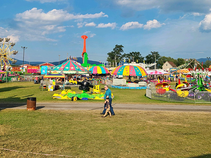 The county fair brings technicolor joy and childhood memories flooding back faster than you can say "cotton candy."