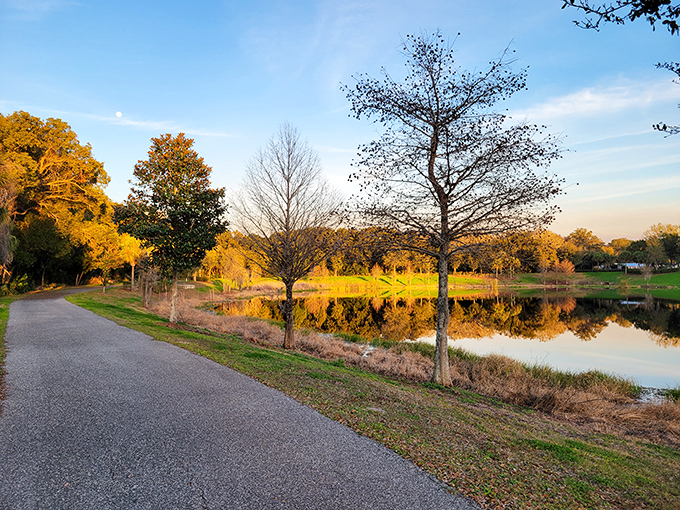 Golden hour transforms Palmetto Point Park into a painter's dream, where walking paths and reflective waters create nature's perfect symmetry.
