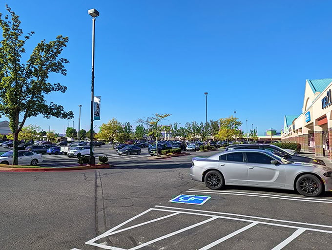 A sea of parking spaces awaits the savvy shopper. The real challenge isn't finding a spot&mdash;it's remembering where you parked after your shopping triumph.