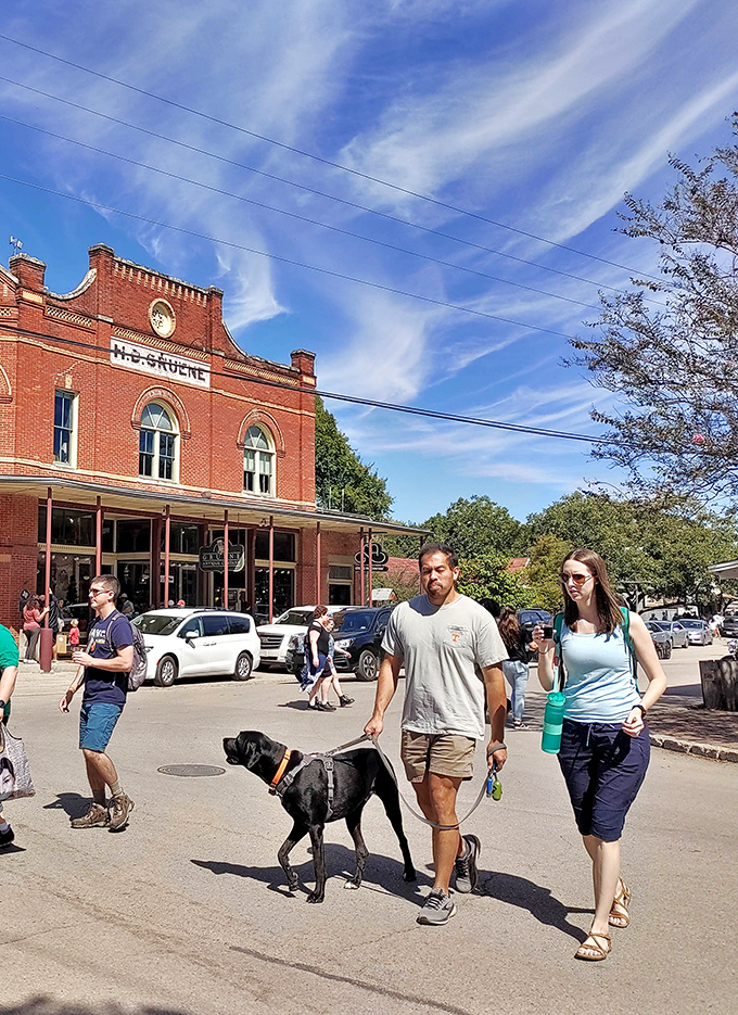 Visitors and four-legged friends stroll Gruene's historic streets, proving that even in our digital age, some experiences demand physical presence.