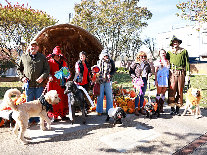 Even the dogs dress up for Lewisburg's community celebrations, proving small-town festivals are more fun when everyone participates.