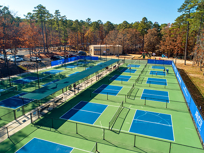 Pickleball courts stretch into the distance, evidence of the sport that's become retirement's competitive obsession. Tennis with training wheels? Don't tell the players that.