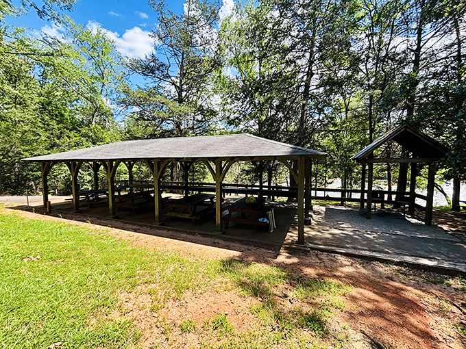 Group picnic shelters: where family reunions happen and potato salad recipes are defended with surprising levels of passion.