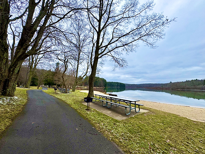 Lakeside lunch spots worth planning your day around. These picnic tables have witnessed more family memories than most living room couches.