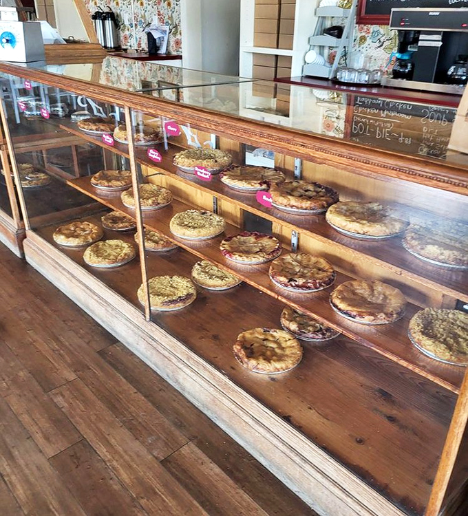 The display case&mdash;a museum of edible art where every pie tells a different story of sweetness and skill.