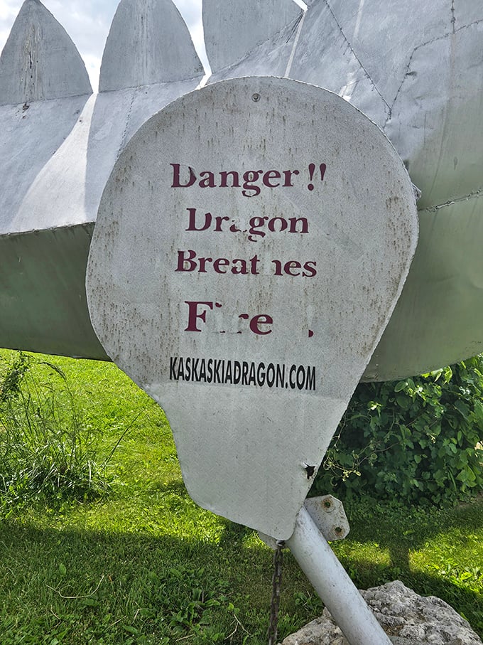 Fair warning: this dragon takes its fire-breathing responsibilities seriously, so respect the personal space it requests politely.