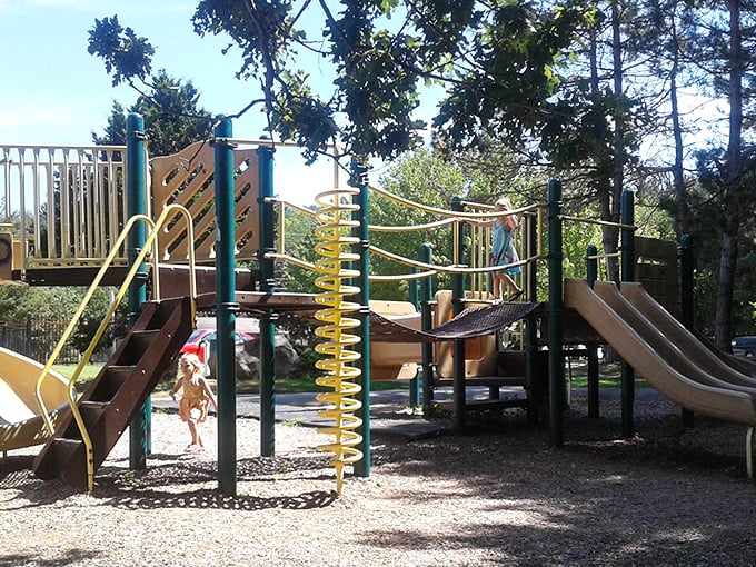 Neighborhood playgrounds provide intergenerational joy without the price tag of commercial entertainment—where grandkids can play while retirement accounts remain intact.