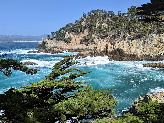 Point Lobos&mdash;where the Pacific throws its most dramatic tantrums against golden cliffs, creating nature's version of performance art.