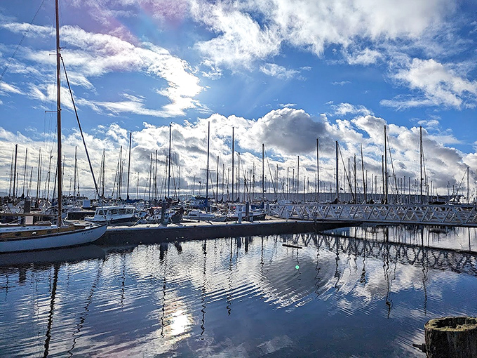 A forest of masts reaches skyward at Port Townsend's Boat Haven&mdash;each sailboat a dream anchored temporarily to shore.
