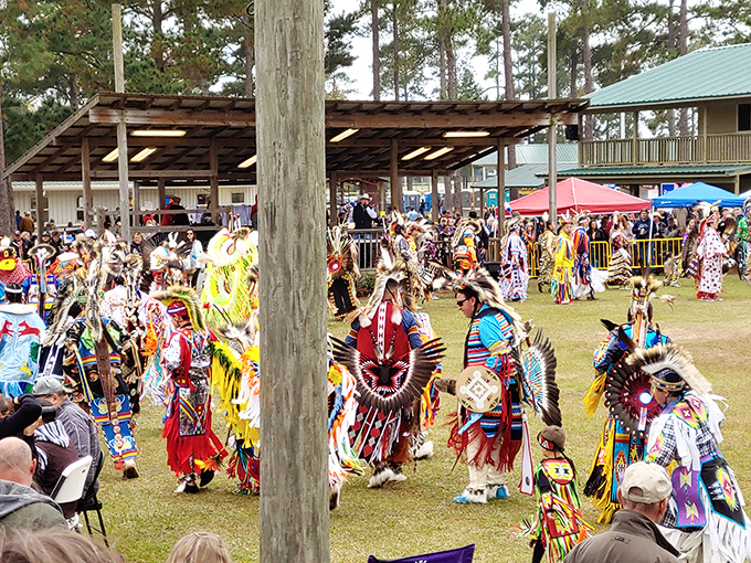 The Pow Wow grounds burst with color and tradition during celebrations that connect past to present through dance, music, and community.