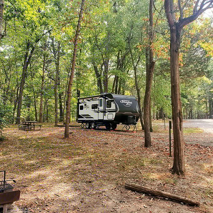 Glamping goals achieved. This campsite offers the perfect compromise between roughing it and bringing your entire living room into the woods.