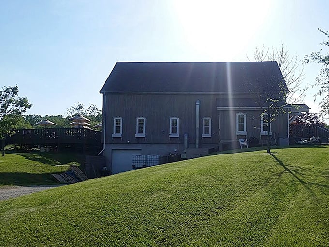 The barn's clean lines stand in stark contrast to rolling hills&mdash;architecture that respects its agricultural roots while serving modern wine lovers.
