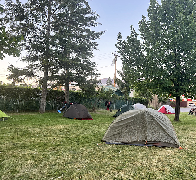 Camping under Eureka's trees offers five-million-star accommodations that no luxury hotel could possibly match.