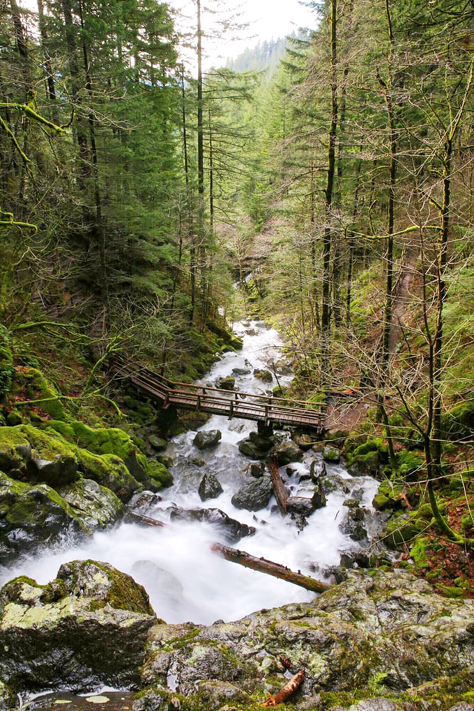 Rodney Falls delivers the kind of dramatic cascade that makes you forget about whatever was stressing you out back in civilization.