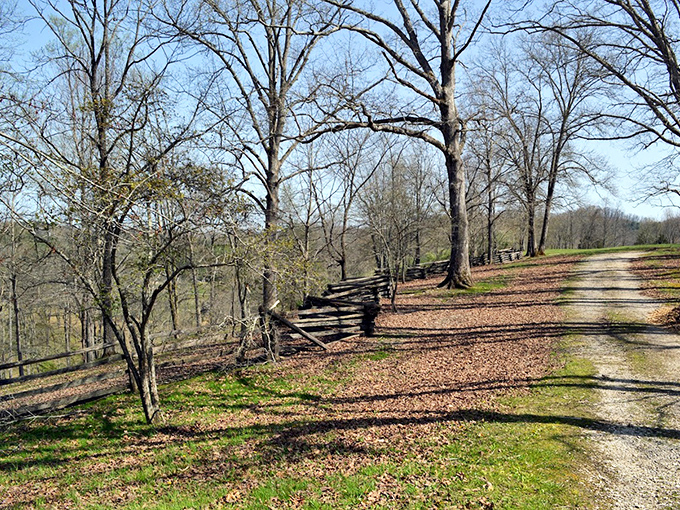 The road less traveled, literally. This quiet path through winter-bare trees promises solitude and the subtle music of Eastern Kentucky woods.