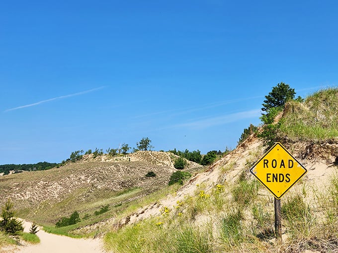 Dunes that look like nature's sculpture garden, minus the velvet ropes and museum admission fees.