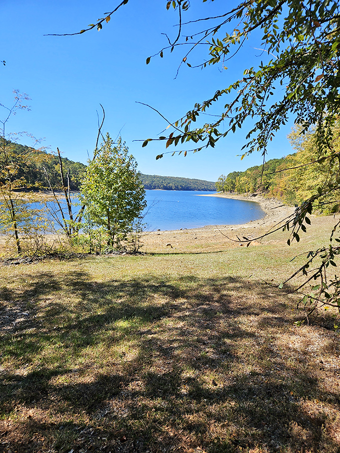 Nature's perfect frame for Lake Greeson. Those branches seem to say, "Look here, human, at what you've been missing."