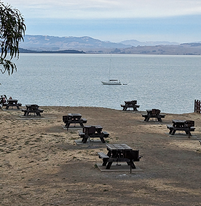 Beachfront dining, California-style &ndash; these picnic tables offer bay views that would cost hundreds at a restaurant, but here they're complimentary.