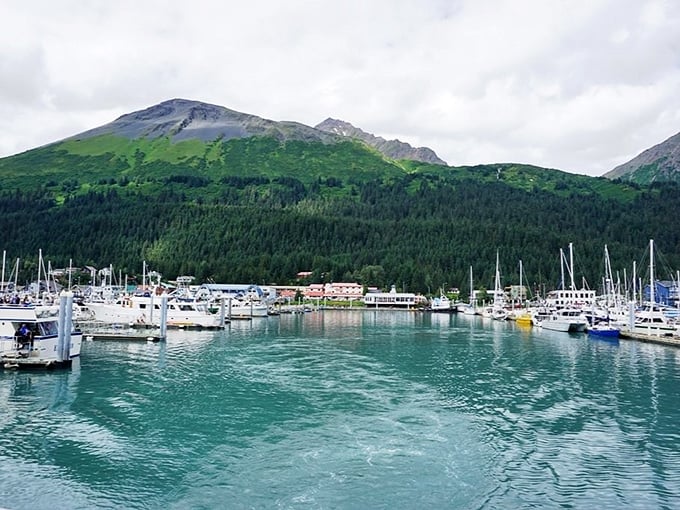 The boat harbor gleams with possibility &ndash; each vessel promising adventures where whales breach and glaciers calve just beyond the breakwater.