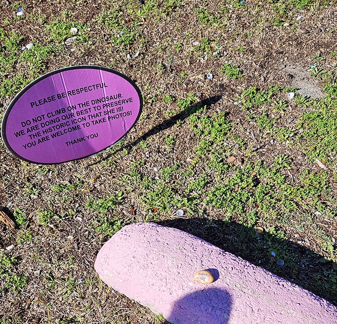 "Please be respectful"&mdash;a gentle reminder that even concrete dinosaurs deserve our care. Take photos, not pieces of history.