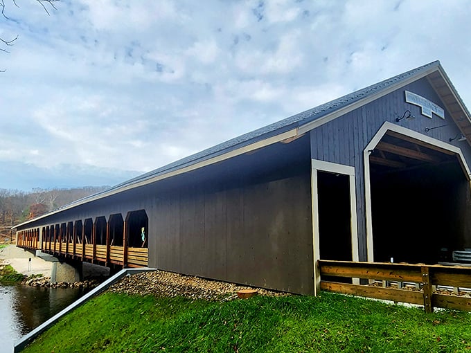 The bridge's elegant profile against the landscape proves that sometimes the most beautiful architecture isn't in cities but hidden along country roads.