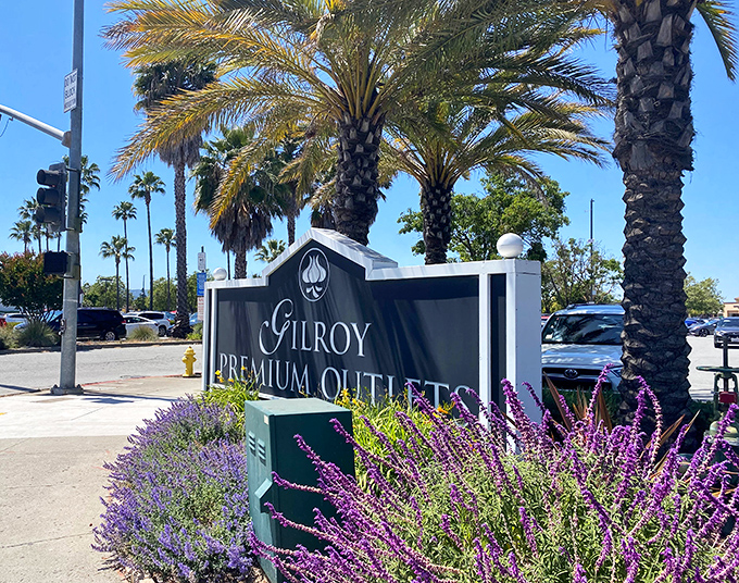 Palm trees and purple sage welcome shoppers to California's bargain paradise, no secret password required.