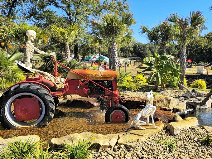 Part art installation, part farm history&mdash;this skeleton-driven tractor brings a touch of whimsy to the agricultural experience.