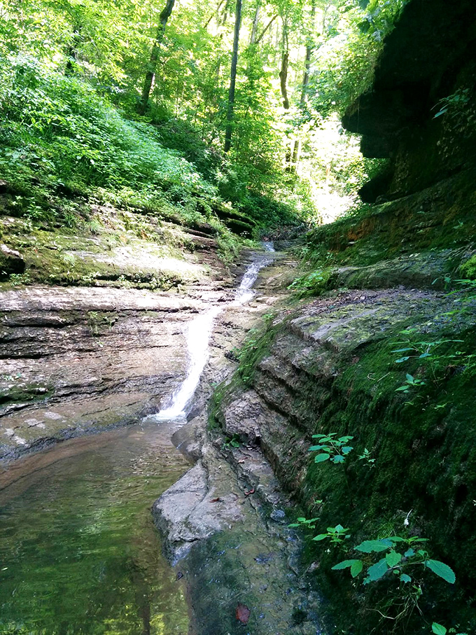 This gentle cascade wouldn't impress Niagara, but its soothing melody offers the kind of natural sound therapy urbanites pay premium prices to download.