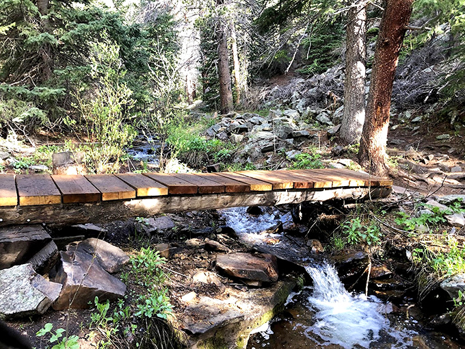 A bridge that promises adventure on both sides. Cross it, and you're officially committed to whatever natural wonders await.