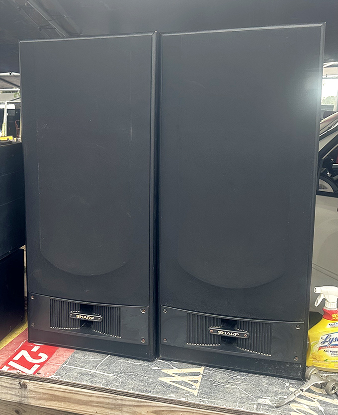 Speakers big enough to announce your presence to the entire neighborhood, whether they asked for it or not exactly.