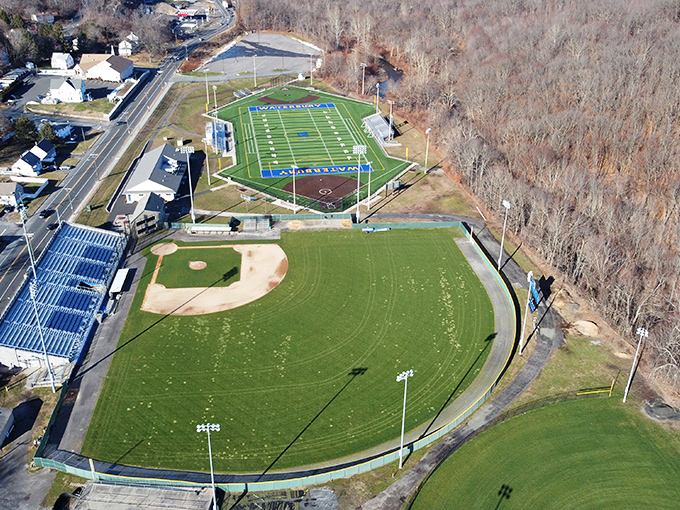This serene park pond offers an urban oasis where ducks hold swimming competitions and humans come to press pause on life's hectic pace.