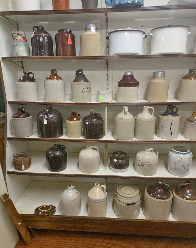 These stoneware crocks and jugs once preserved farm families' harvests through long Dakota winters—functional art from a pre-refrigeration world.