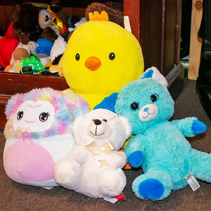Plush companions waiting for new homes, their button eyes seeming to ask, "Will you be my new best friend?"