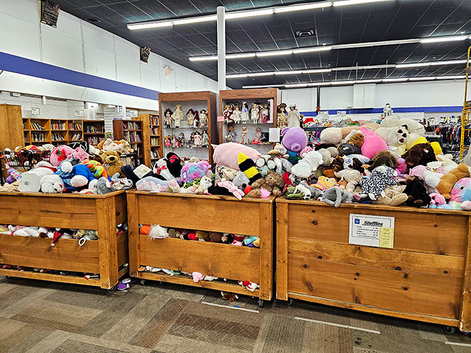 Stuffed animal adoption center or childhood nostalgia museum? These plush friends wait patiently in wooden bins for their next adventure with a new owner. 