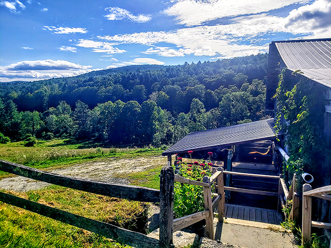 Sugarbush Farm's view makes you understand why Vermont cows produce such happy milk. Those rolling hills would make anyone content.