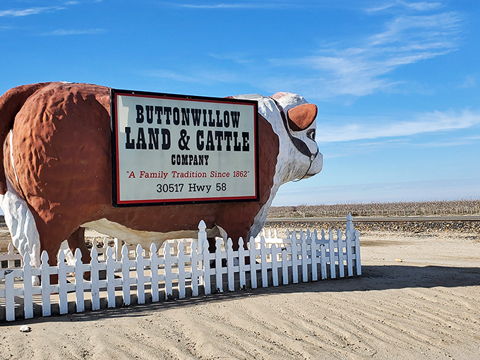 Standing sentinel under endless blue skies, Otis reminds us that sometimes the best attractions aren't in guidebooks.