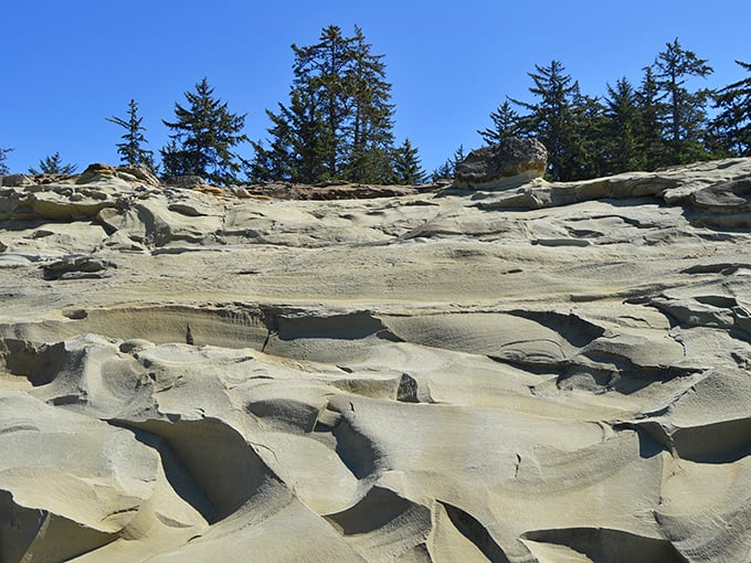 Nature's sculpture garden&mdash;these tafoni formations look like the Earth decided to try its hand at abstract art, and succeeded brilliantly.