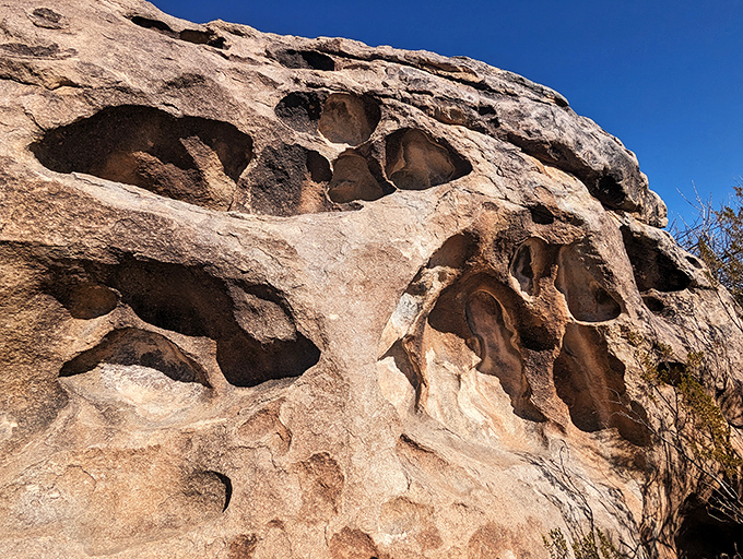 Mother Nature's Swiss cheese impression. These hollow depressions, formed by centuries of erosion, give the park its name and create perfect hiding spots for desert critters.