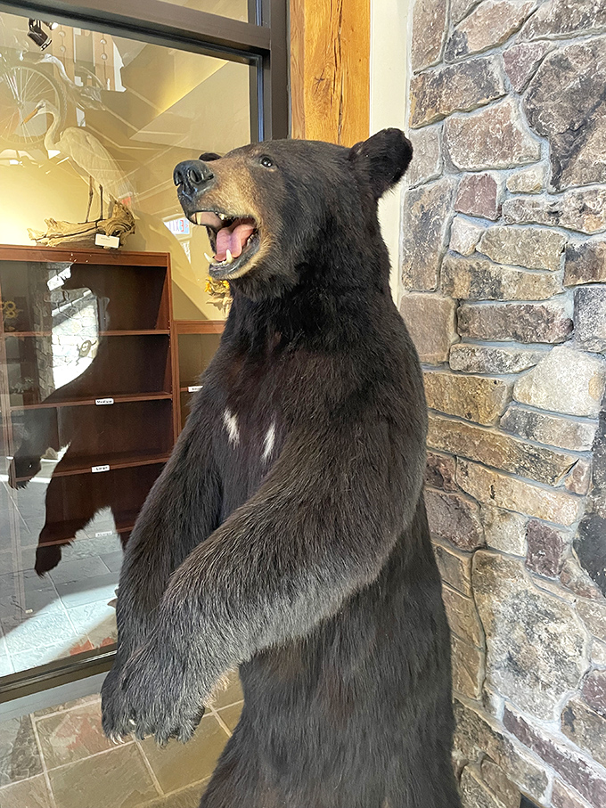 The taxidermy bear greets visitors with a permanent smile that says, "Welcome to the woods! Don't worry, I'm the only bear you're guaranteed to see."